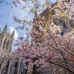Duke Divinity School to Expand Access to Theological Education with ...