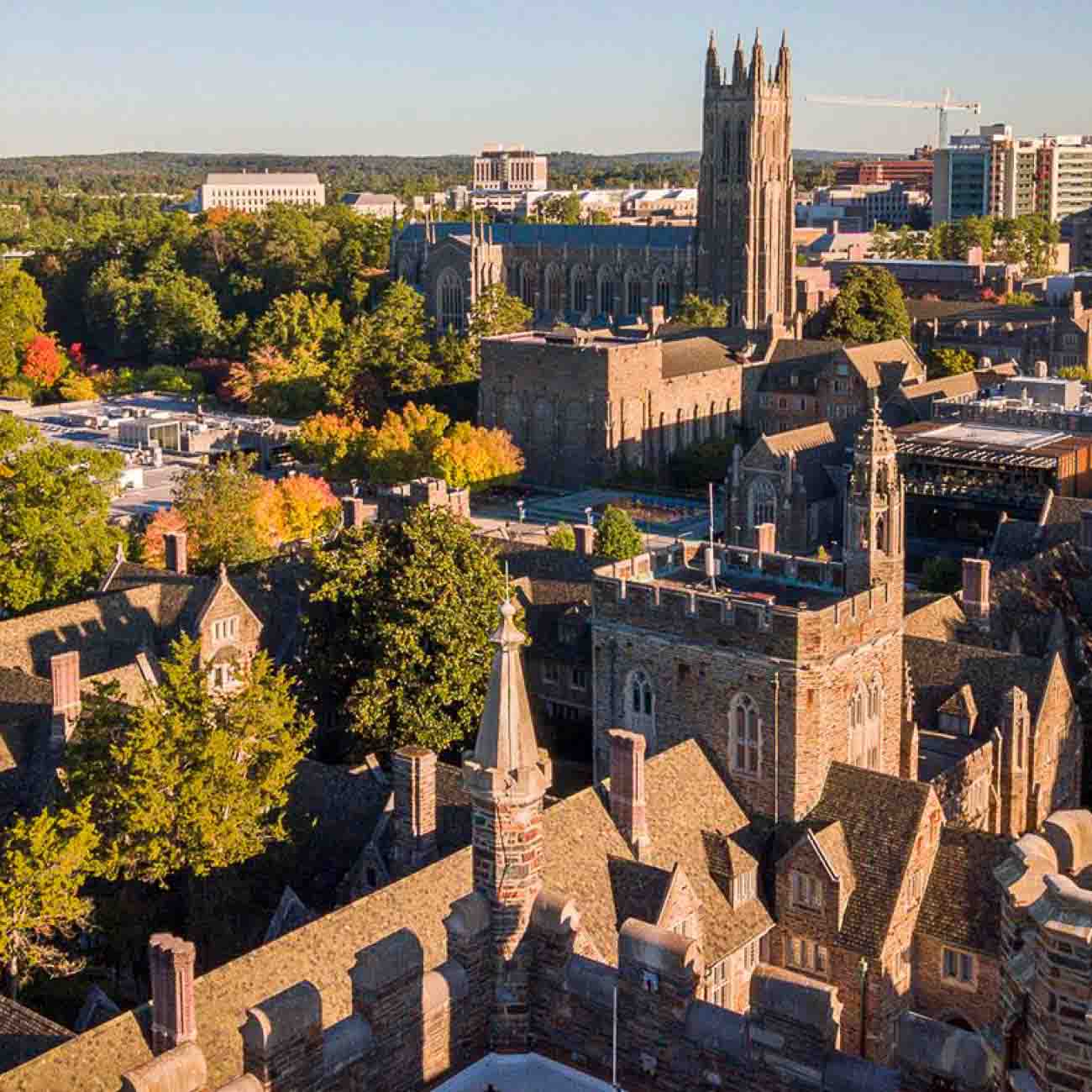 Enhancing Behavioral Health and Wellness for Student-Athletes | Impact ...